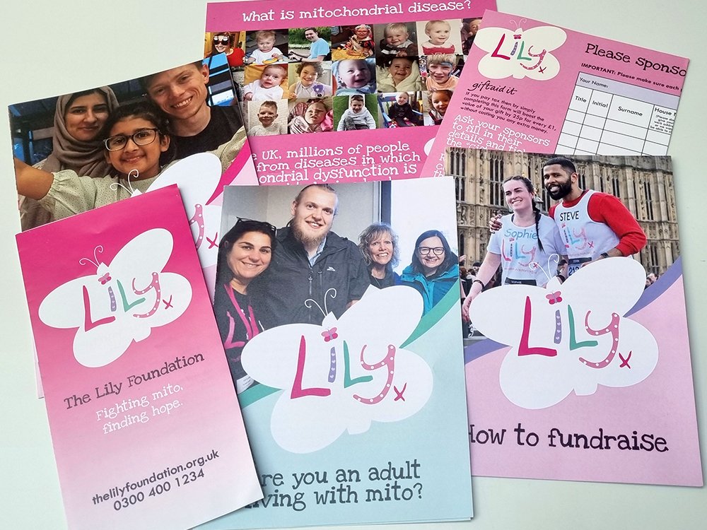 What we do - The Lily Foundation