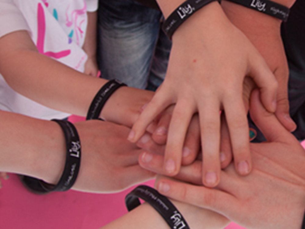 What we do - The Lily Foundation