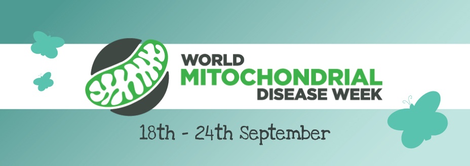 It's time to talk about mito - The Lily Foundation for research into ...